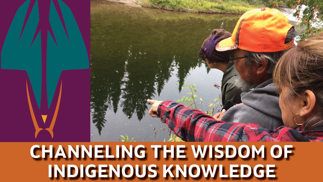 A Mi’gmaq Government's Grand Plan: Channeling Indigenous Knowledge to Build Capacity